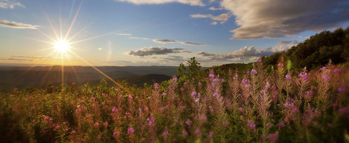 Berkshires Bed and Breakfast: Federal House Inn (Lee, Massachusettes)